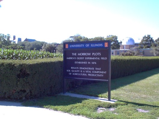 After 300 miles of corn fields, it was jarring to see this littlecorn ...